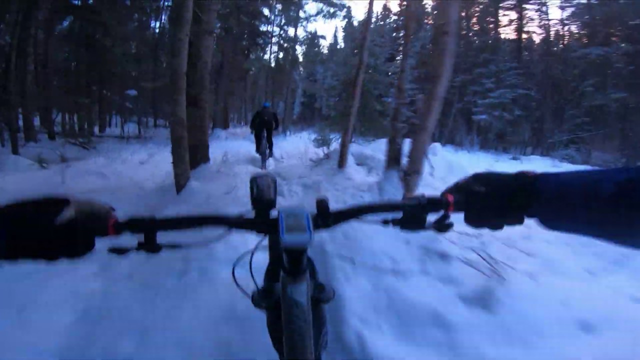 DITCH PIG-following Mark, Dave, Josie & Tilly - YouTube