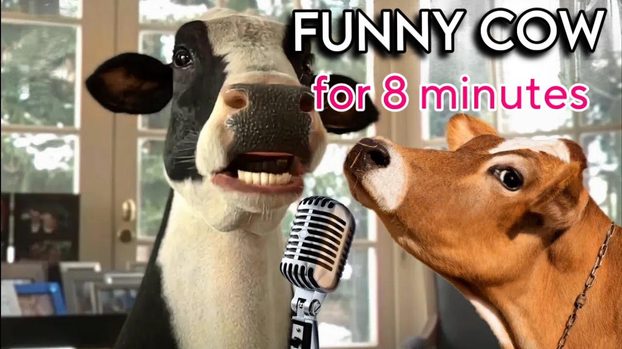 FUNNY COW DANCE FOR 8 MINUTES | Cow Song & Cow Videos 2023 | Cow dance ...