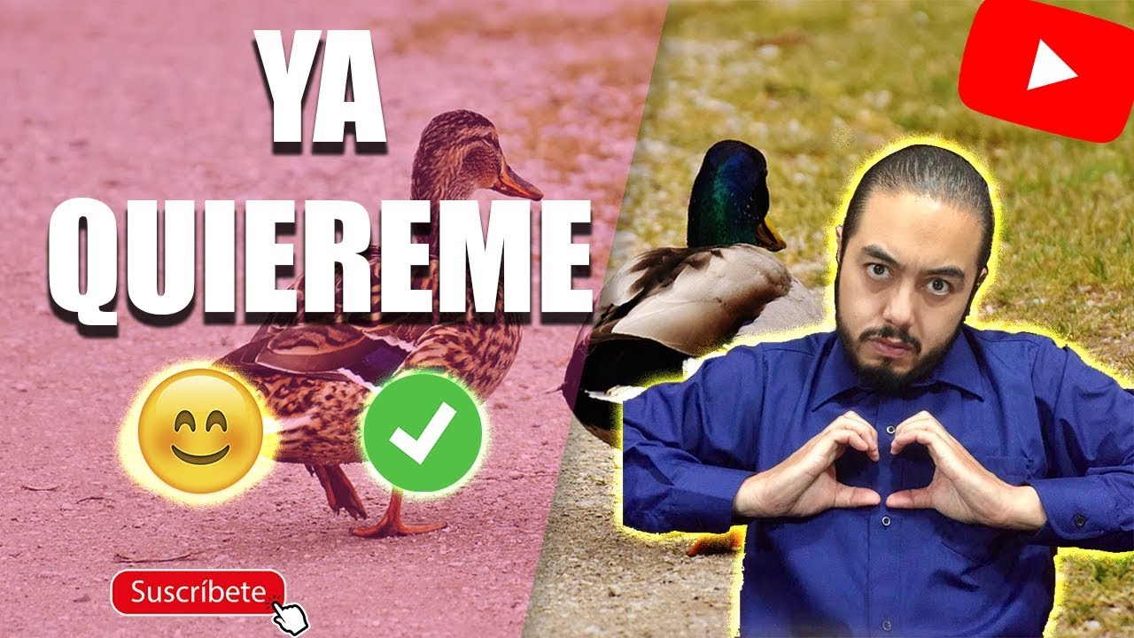 YA QUIÉREME - YouTube