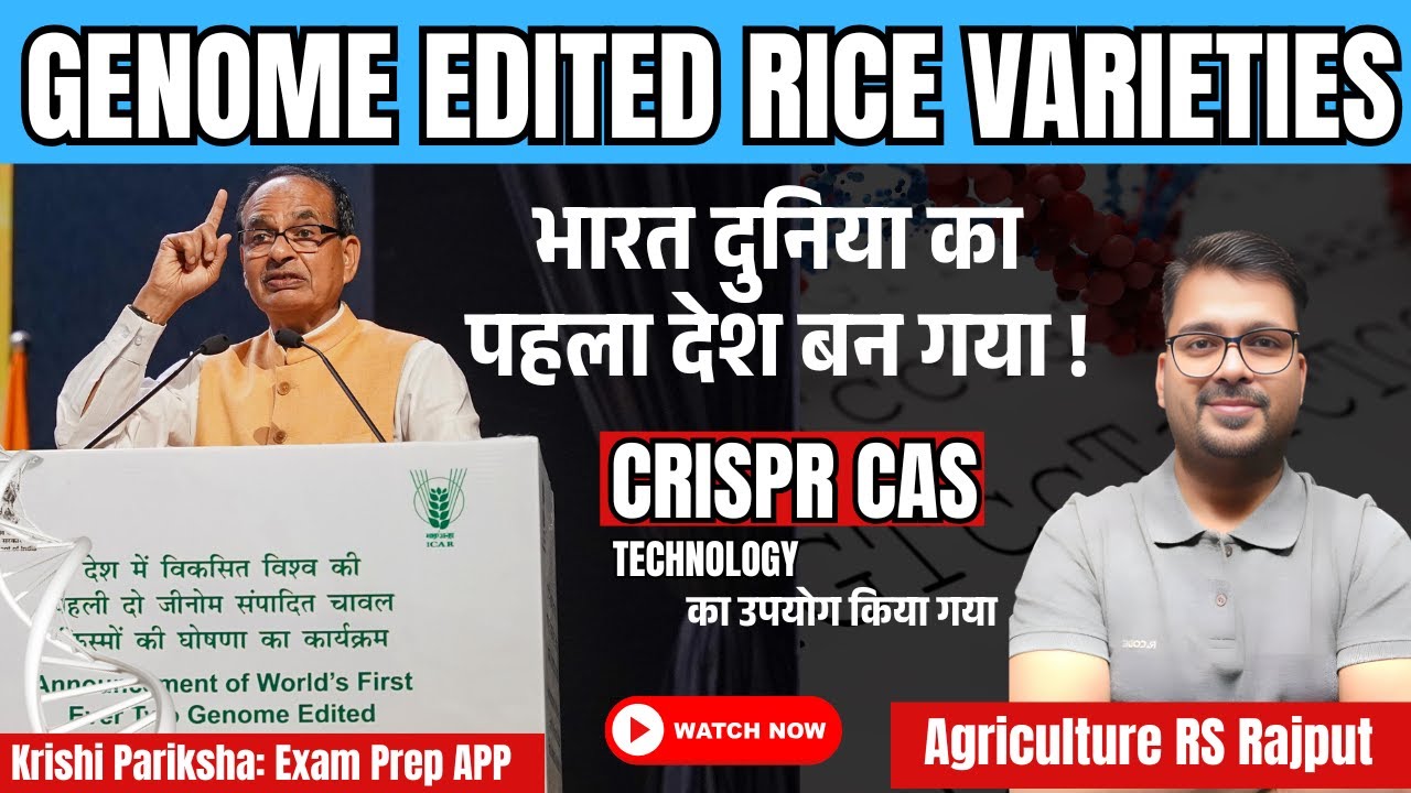 Genome Edited Varieties of Rice | DRR RICE 100 | PUSA DRT RICE 1 ...