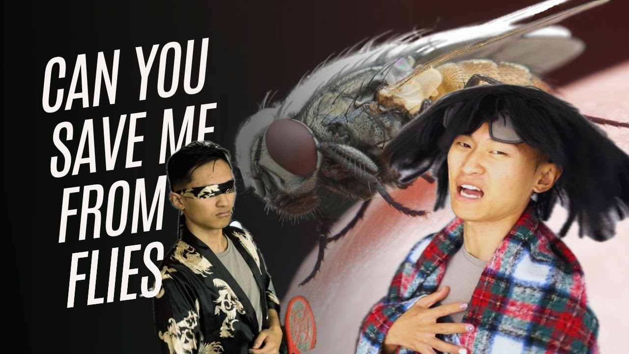Calling on the Blind Fly Exterminator to My Colombian House | No, it's ...