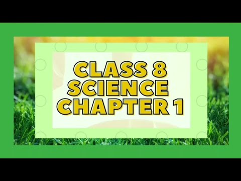 Class 8 Science CBSE Chapter 1 - YouTube