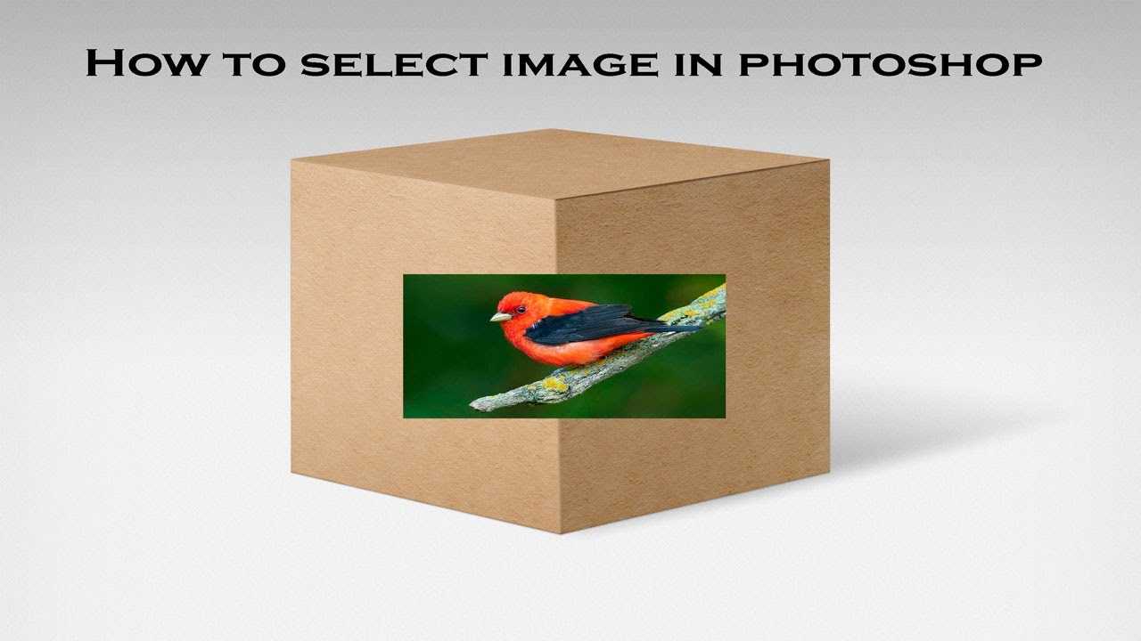 How To Select Image In Photoshop YouTube how-to-select-image-in-photoshop-youtube