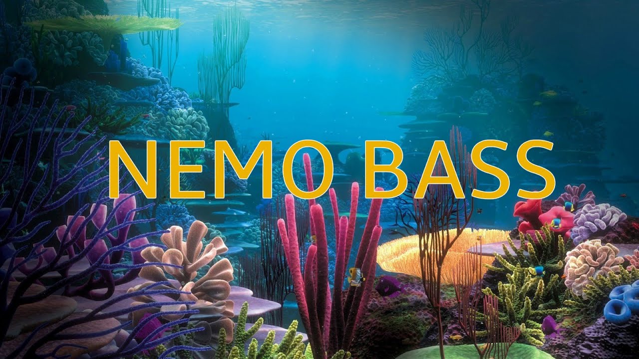 Nemo Bass - YouTube