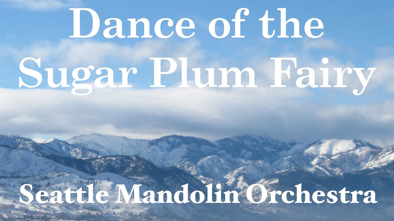 Dance of the Sugar Plum Fairy - Seattle Mandolin Orchestra - YouTube