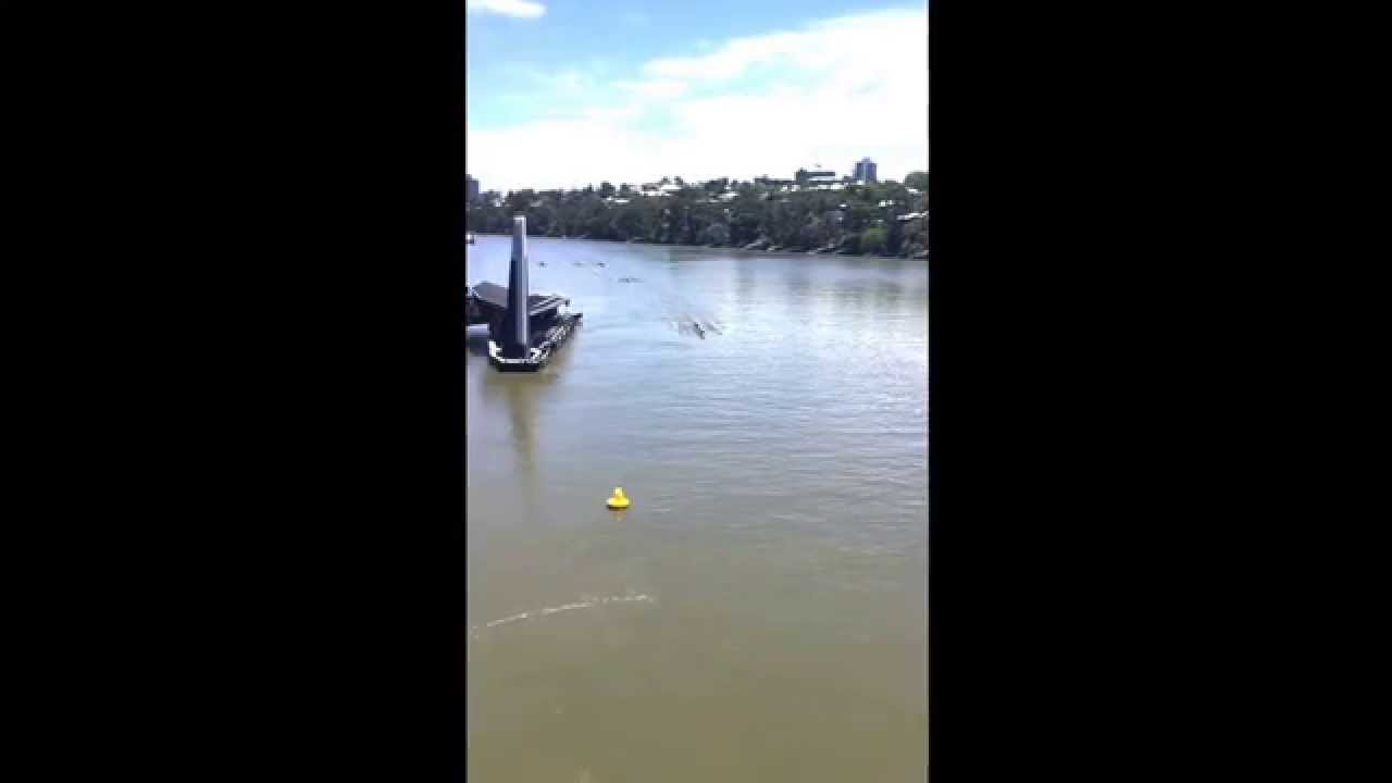 Rowing boat crash at Head of the Brisbane 2015 - oh that buoy! - YouTube