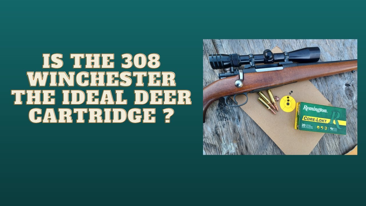 Is the 308 Winchester the Ideal Deer Cartridge - YouTube