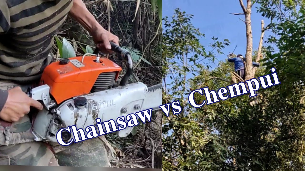 Chainsaw vs Chempui - YouTube