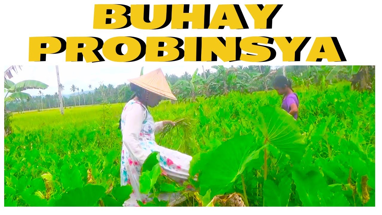 #11 Have you experience living in countryside? We will show you what is ...