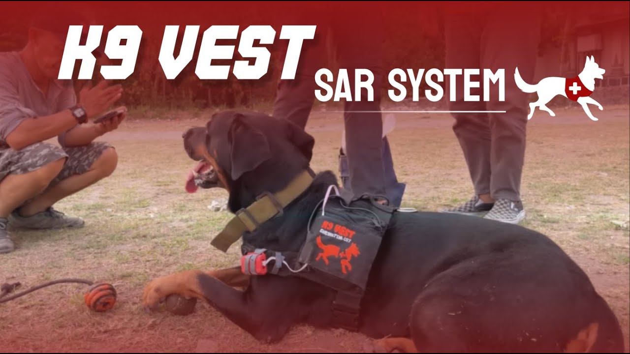 K9 Vest SAR System Capstone C-07 - YouTube