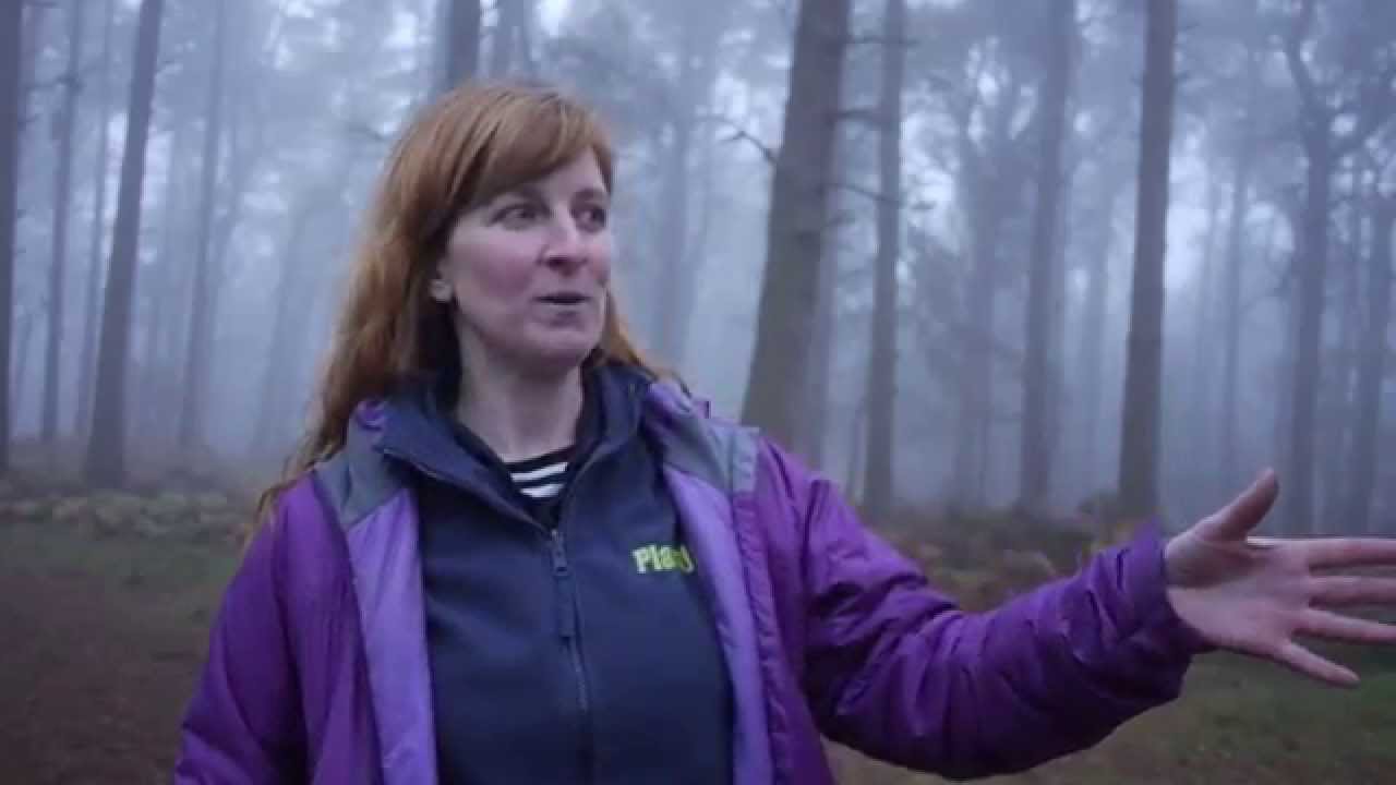 Evaluation - staff and volunteers - Webber's Post Big Adventure - YouTube