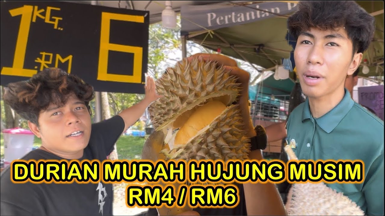 HARGA LELONG HUJUNG MUSIM RM4, RM6 SEKILO, DURIAN BALIK PULAU, DURIAN ...
