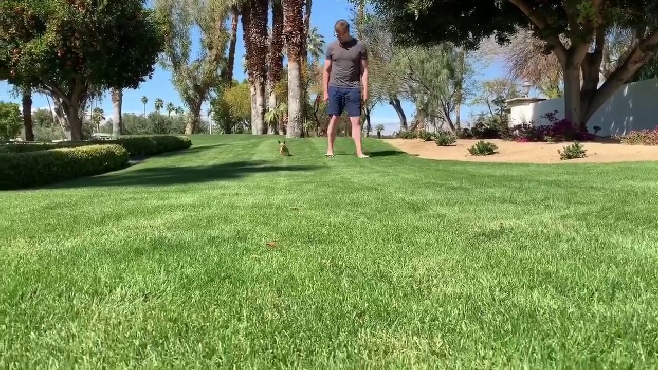 Little Boogie Shoes Quarentine Workout - YouTube