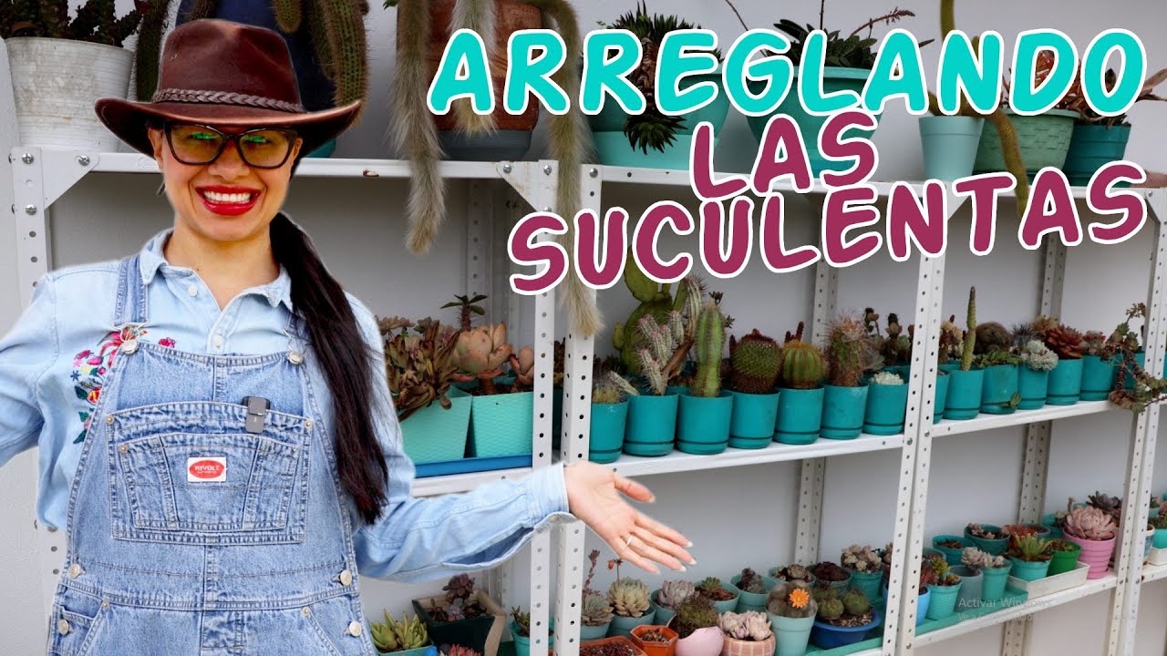 Organicé mis suculentas como antes y me encantó │Candy Bu - YouTube