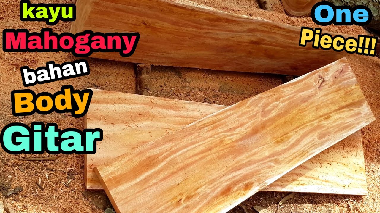 Kayu MAHOGANY One piece bahan body gitar terbaik kayu mahoni - YouTube