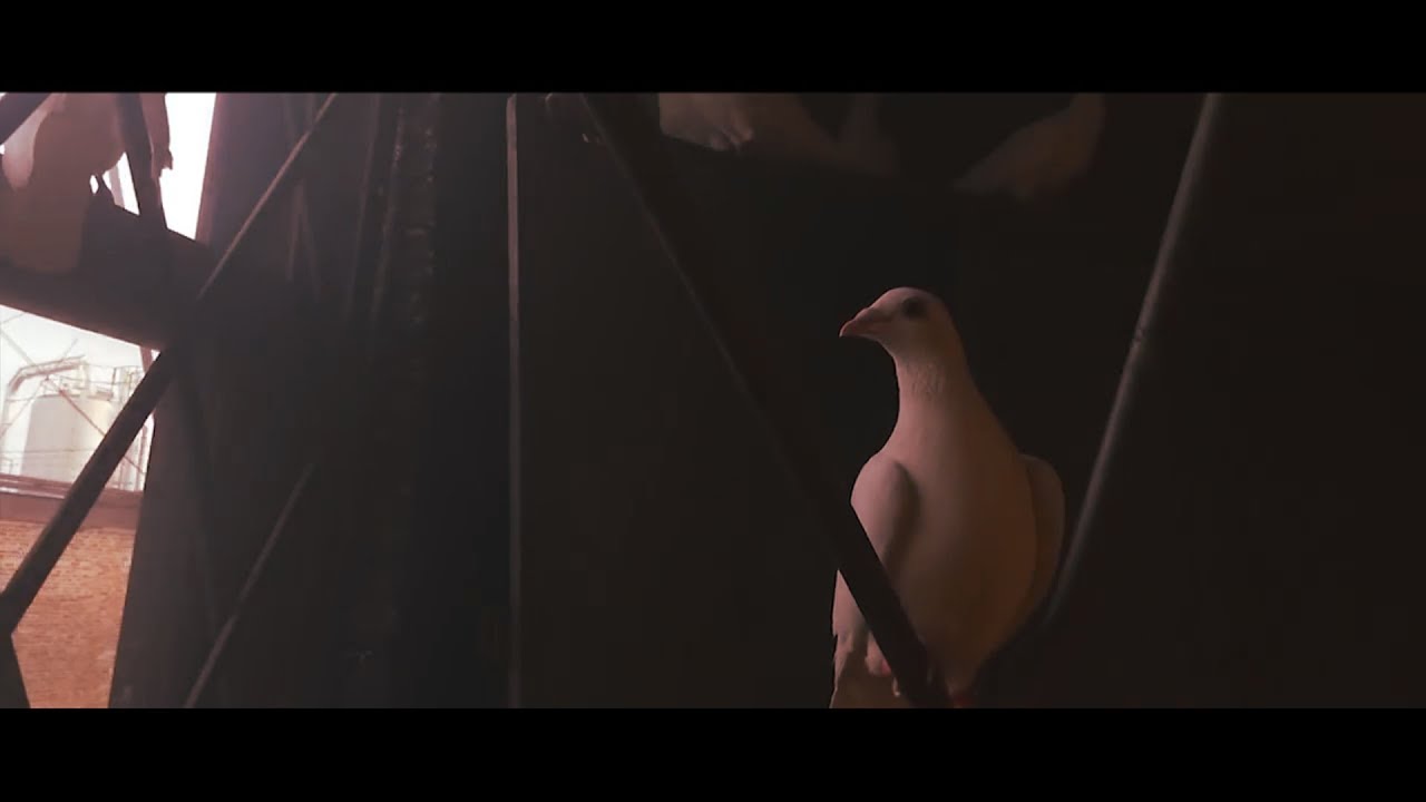 Lil Peep - Hellboy (Music Video) 2018 - YouTube