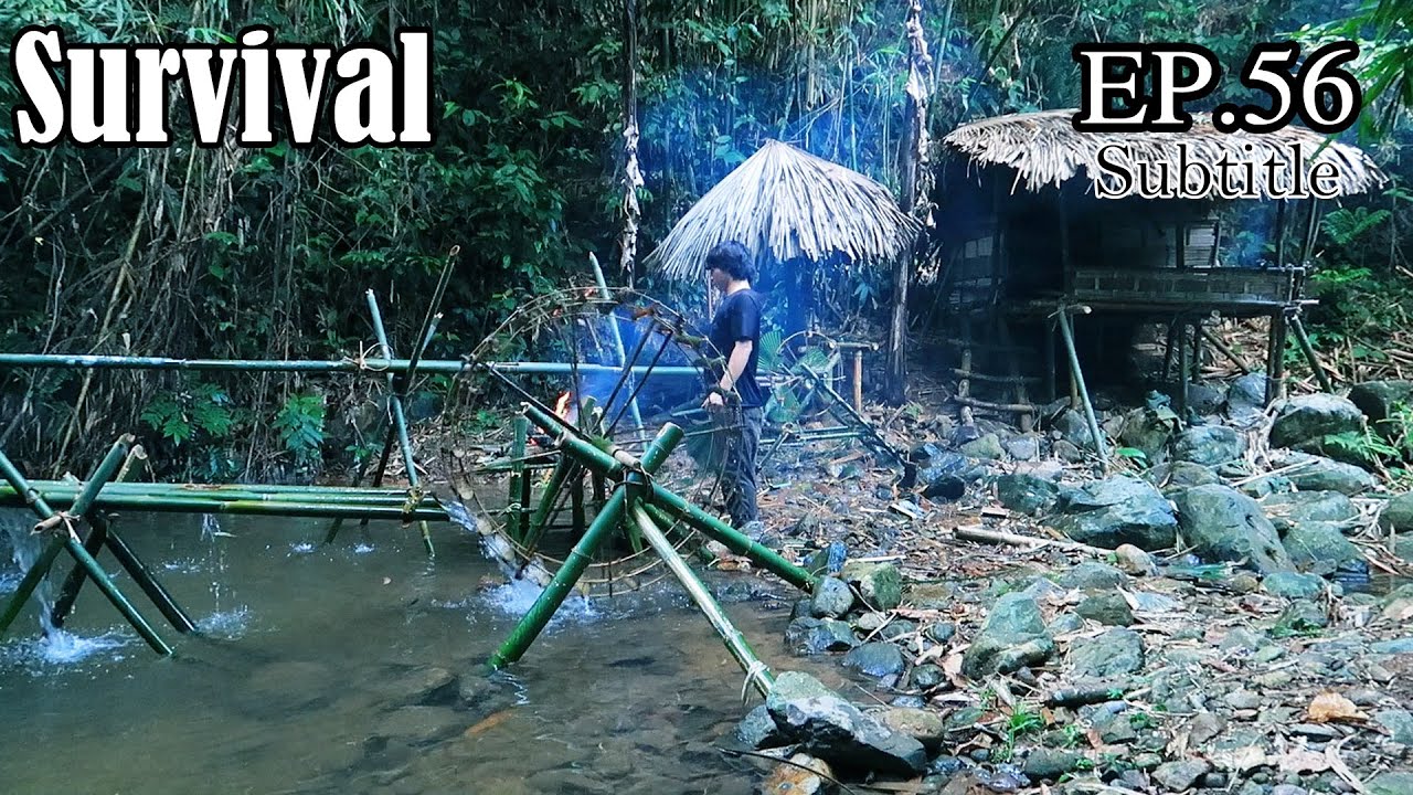 Survival Skills Challenge - Wilderness Alone In Rainforest | EP.56 ...