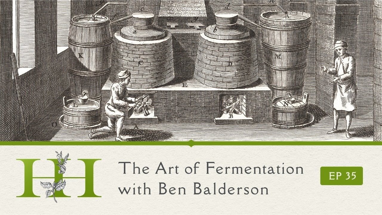 The Healing Home: The Art of Fermentation with Ben Balderson - Ep. 35 ...