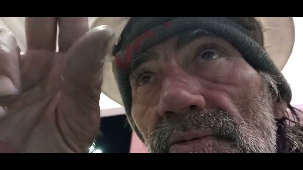 think we live inside gods mind the Lord of Hosts birdz beez the earth ...