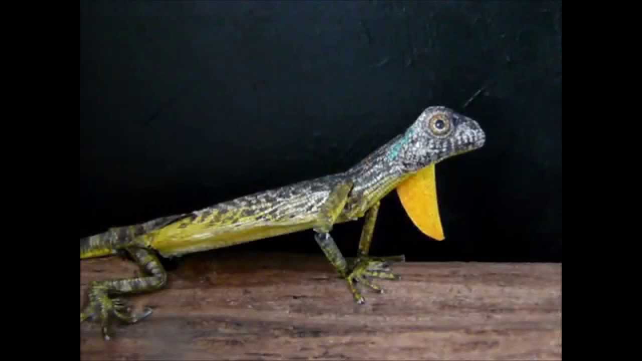 little lizard, a moving papercraft - YouTube