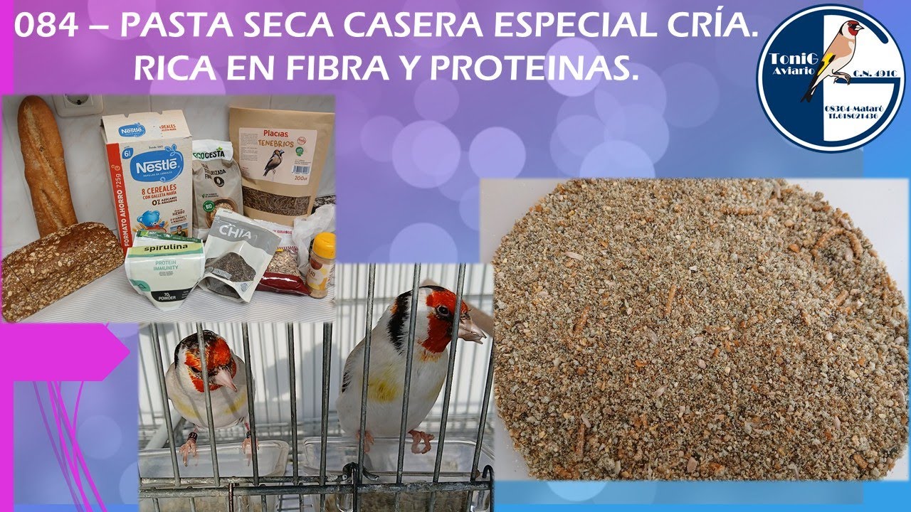 084 PASTA SECA CASERA ESPECIAL CRÍA RICA EN FIBRA Y PROTEÍNAS - YouTube