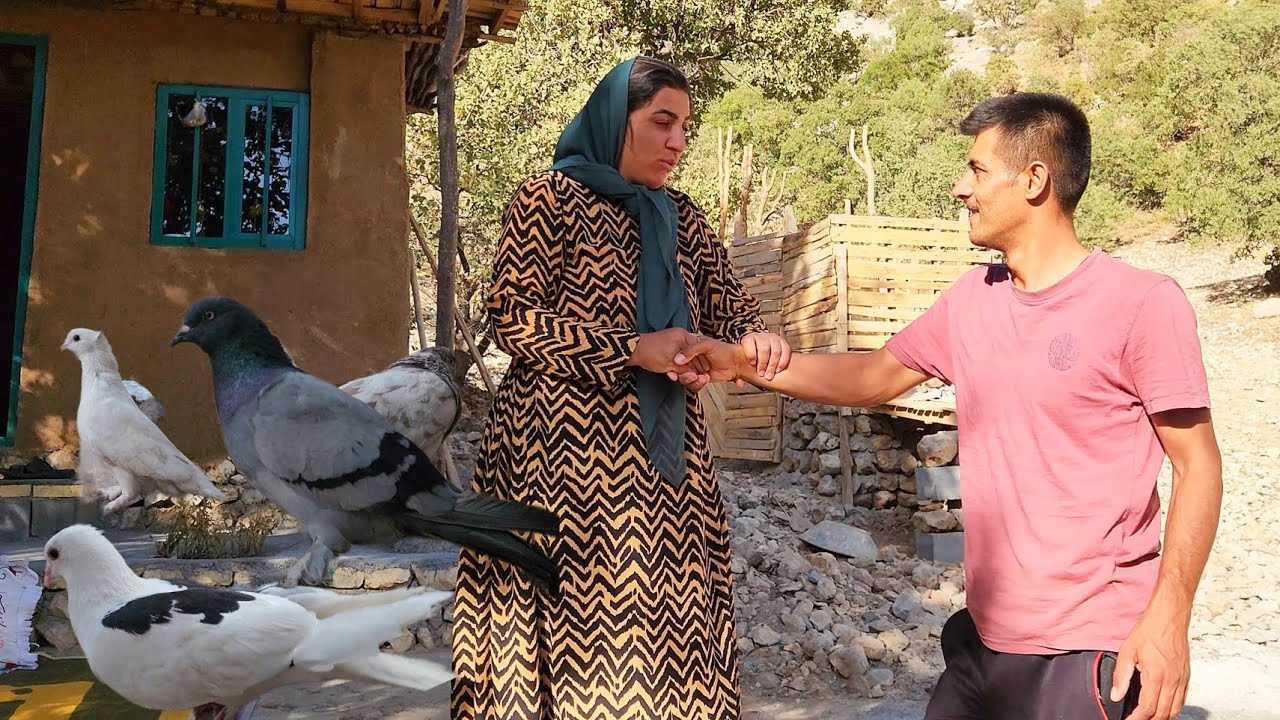 "Asghar's pigeons and Halimah's lentil pilaf; love in the heart of the ...