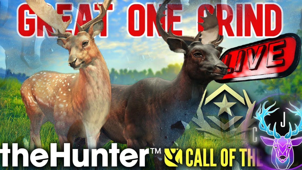 🔴LIVE🔴BIG ALBINO! On The GREAT ONE FALLOW DEER GRIND | The hunter call ...