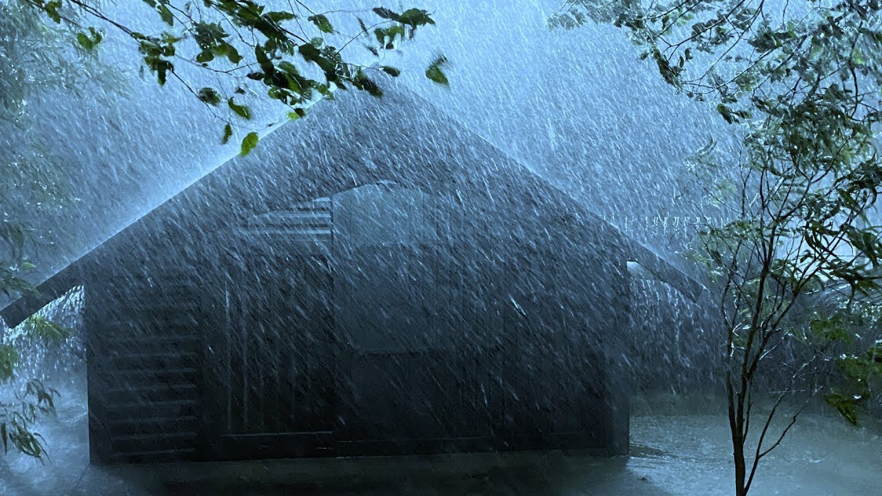 Sleep Immediately with Powerful Rainstorm & Heavy Wind and Chaotic ...