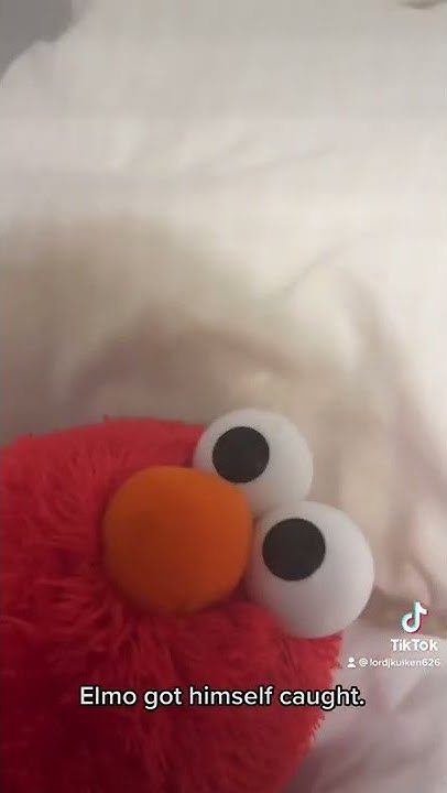 Elmo On Drugs Youtube