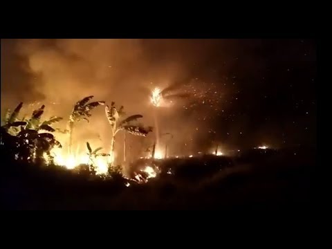 Kondisi terkini Sampit. Video AMARTIR (15 September 2019)