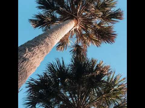 chilling... Live Stream - YouTube