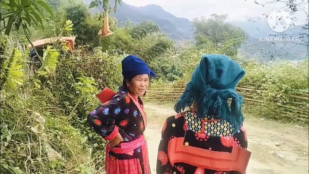 saib lawv coj peb tug tub mus zais nawb lawm tag rau hnub no lawm - YouTube