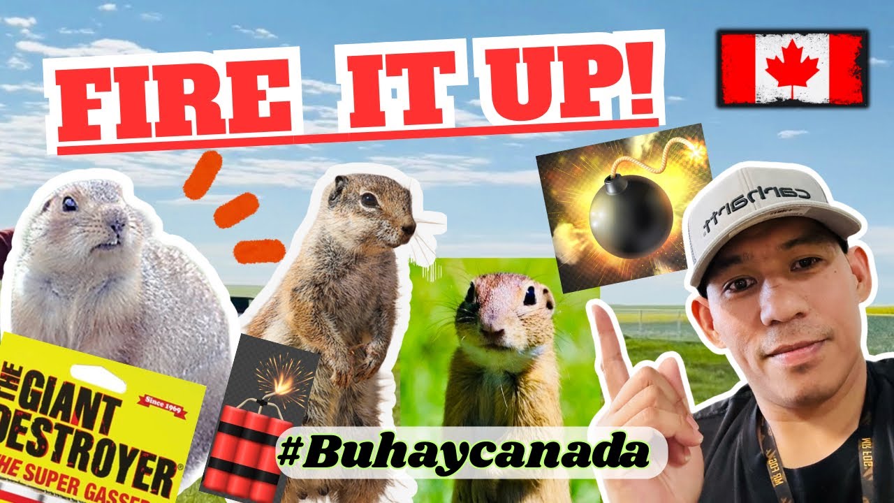 Best Solution for Gophers | Rodent | Best way for smoke bombs#partime # ...