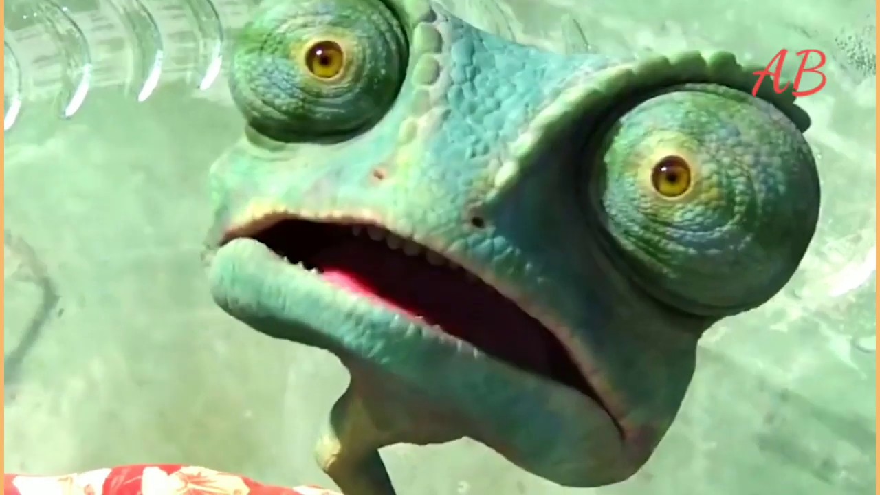 Rango Movie Action Clip - YouTube
