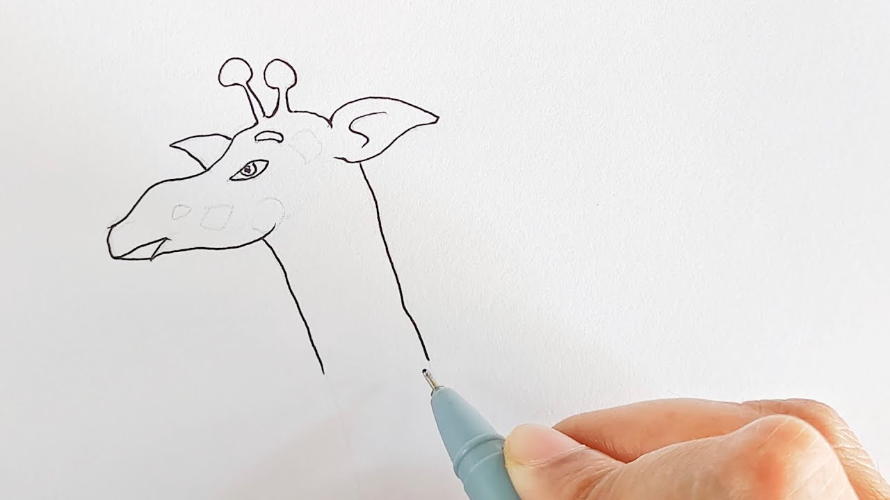 How to draw a Giraffe step by step tutorial for beginners / Giraffe ...