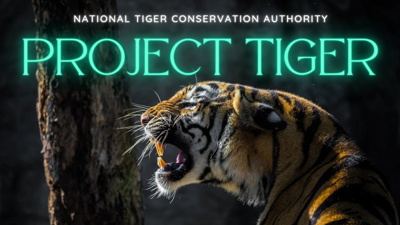 Project tiger 1973 | What is NTCA? | Geography | - YouTube