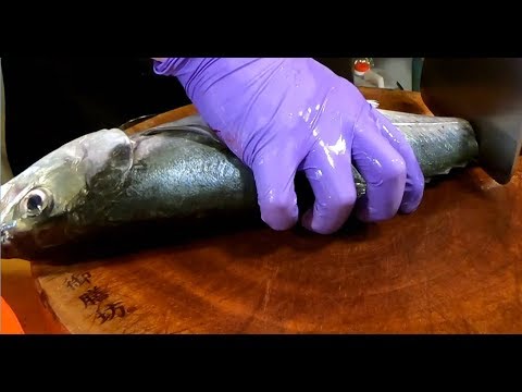 Megalaspis cordyla Cutting Skill & Sashimi Fillet - YouTube