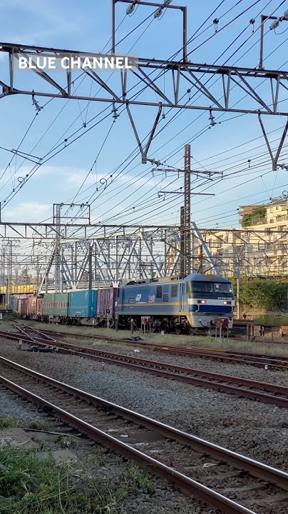 (貨物列車) 2024/10/31 66レ EF210-305 + コキ19B (東福山〜東京タ) #Shorts - YouTube