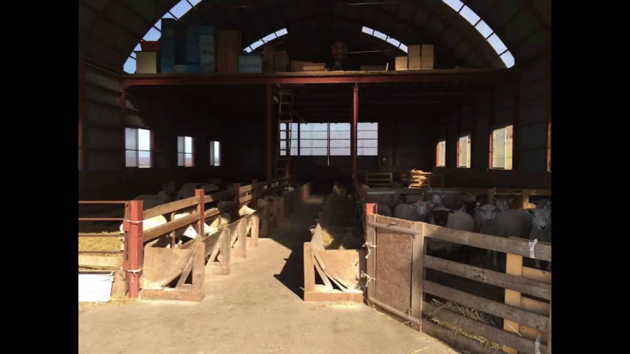 Jsda Youtube 5399