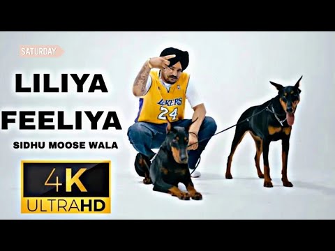 🔥Sidhu Mooosewala - Liliya Feeliya ( Slowed & Reverb )🥺✨ | MUSIC SLOWED