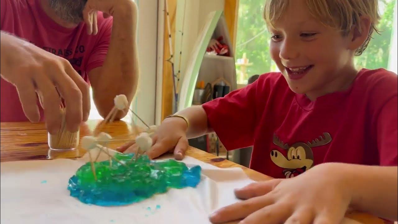 Jello Earthquake experiement - YouTube