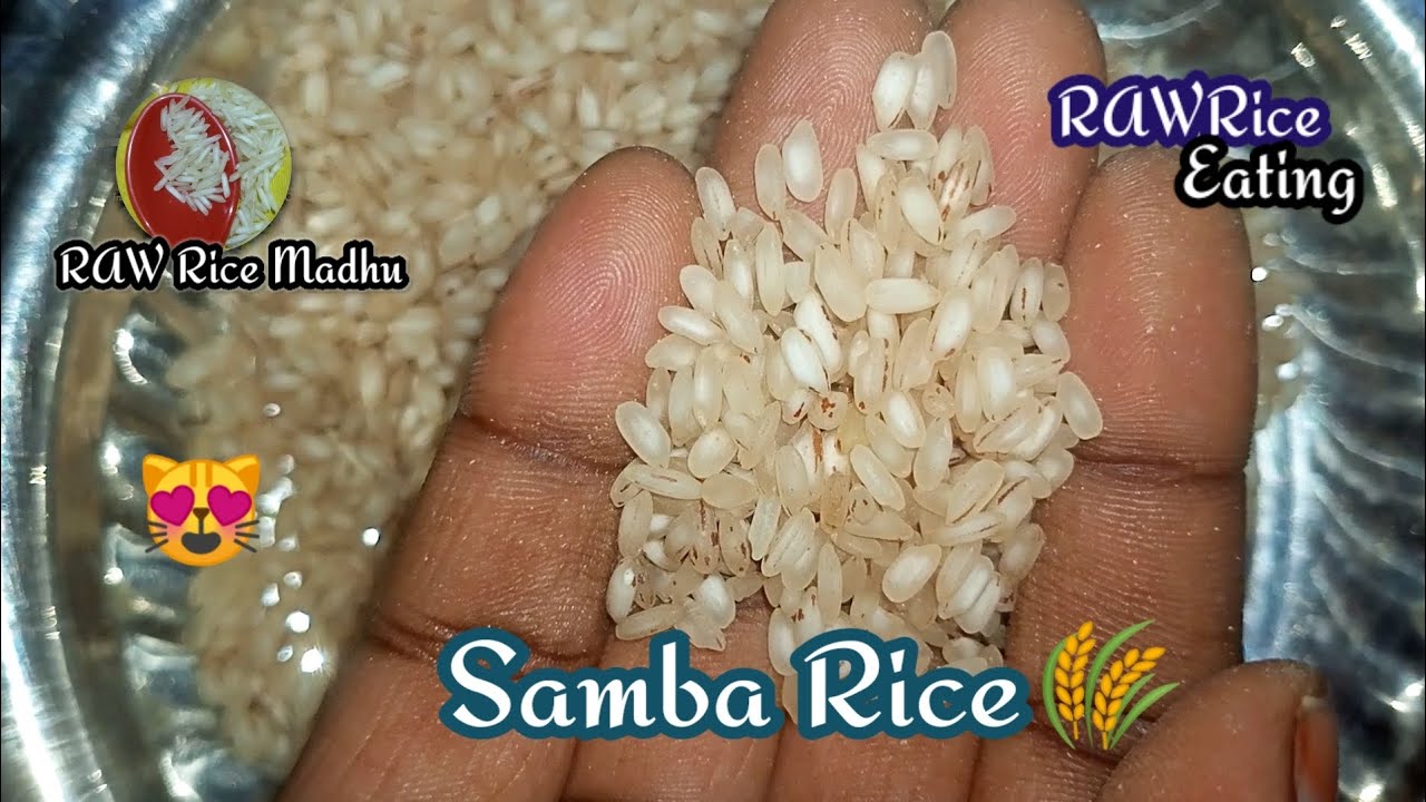 |369|ASMR RED Samba RICE GRAINS 🌾🍚|| FLOUR type ND YUMMY😋 & NICE 😍 ...