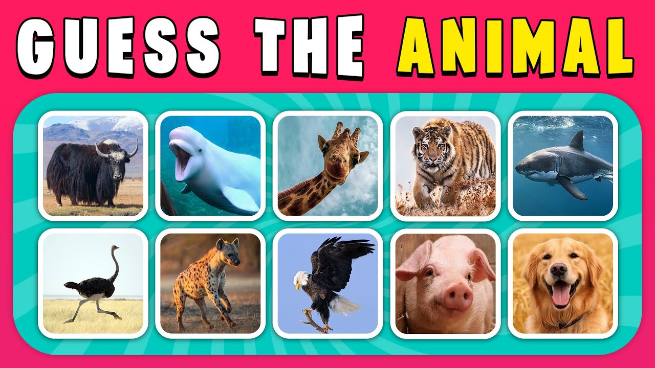 Guess 120 Animals in 3 seconds | Animal Quiz 🐏🦒🐓 - YouTube