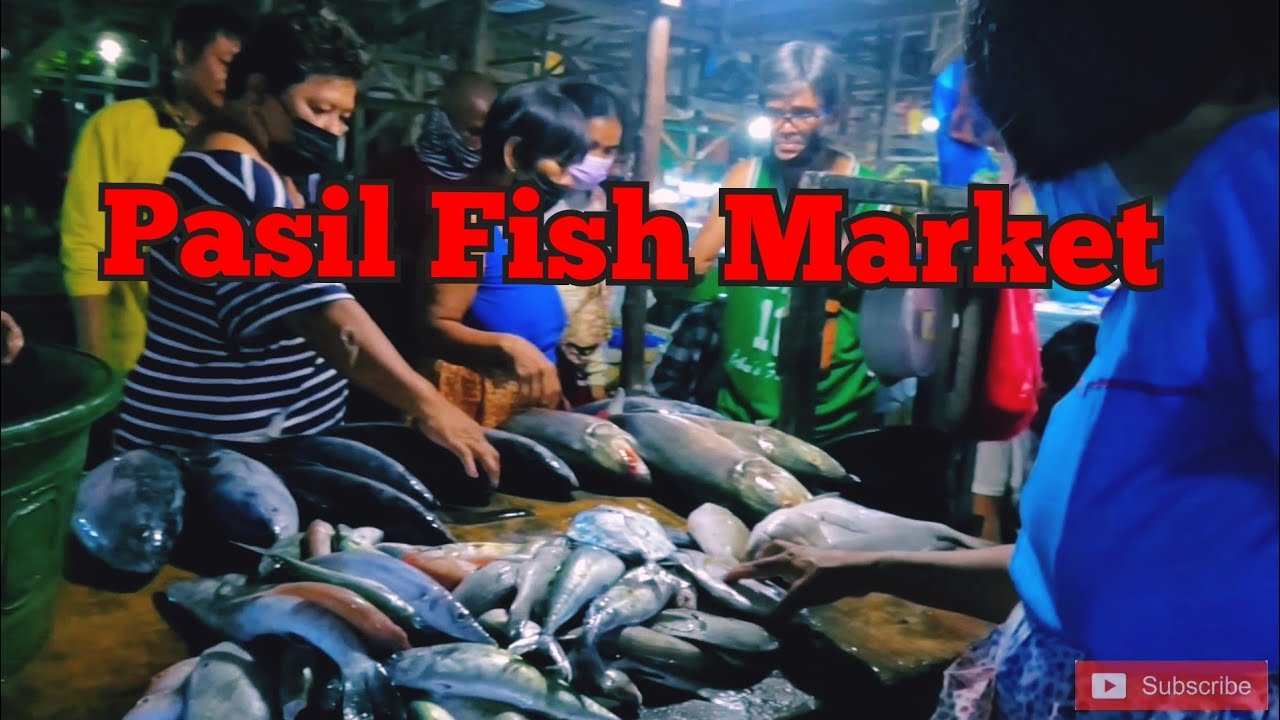 Cebu City - 3AM @ Pasil Fish Market | Fresh Fish | Philippines - YouTube