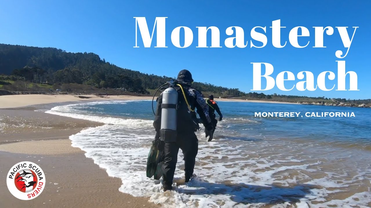Scuba Diving Monastery Beach | The Hidden Underwater Gem of Monterey ...