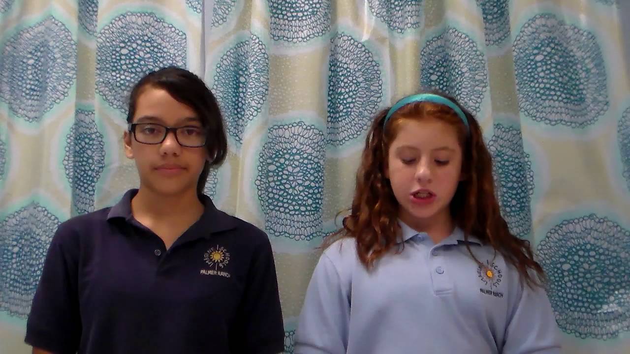 Imagine School at Palmer Ranch News 10/5/16 - YouTube