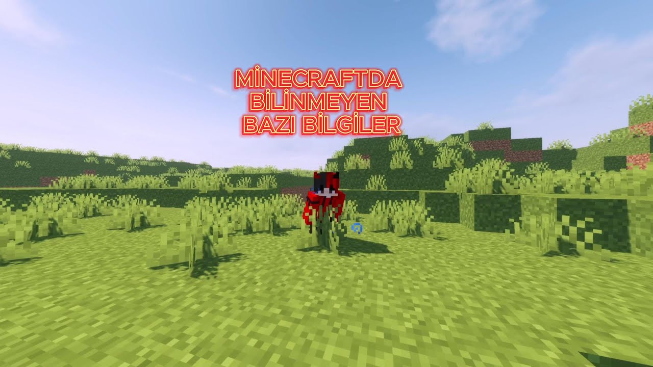 MİNECRAFT BİLİNMEYEN BAZI BİLGİLER! - YouTube
