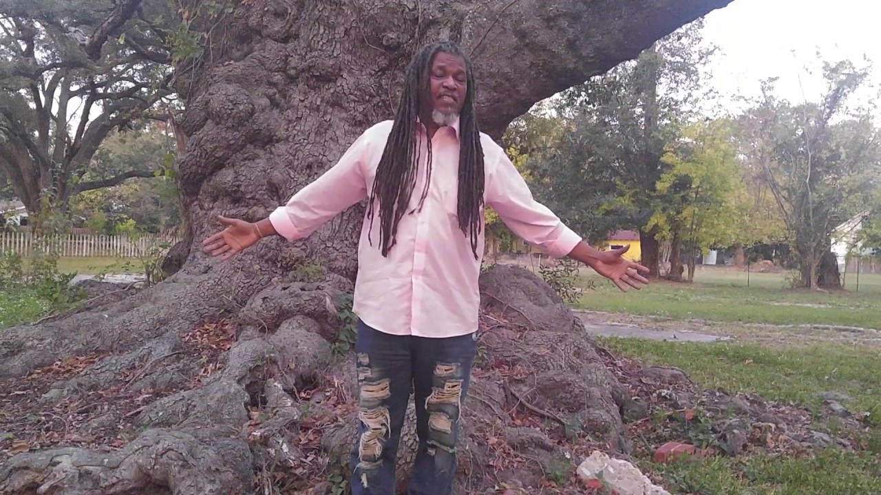 Slave Trees - YouTube