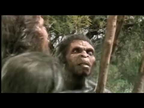 Evolution of Fire. Human kind finally found the idea of fire. - YouTube
