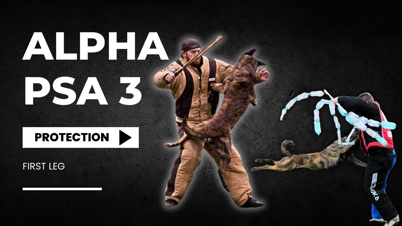 Alpha PSA 3 Protection- First leg - YouTube